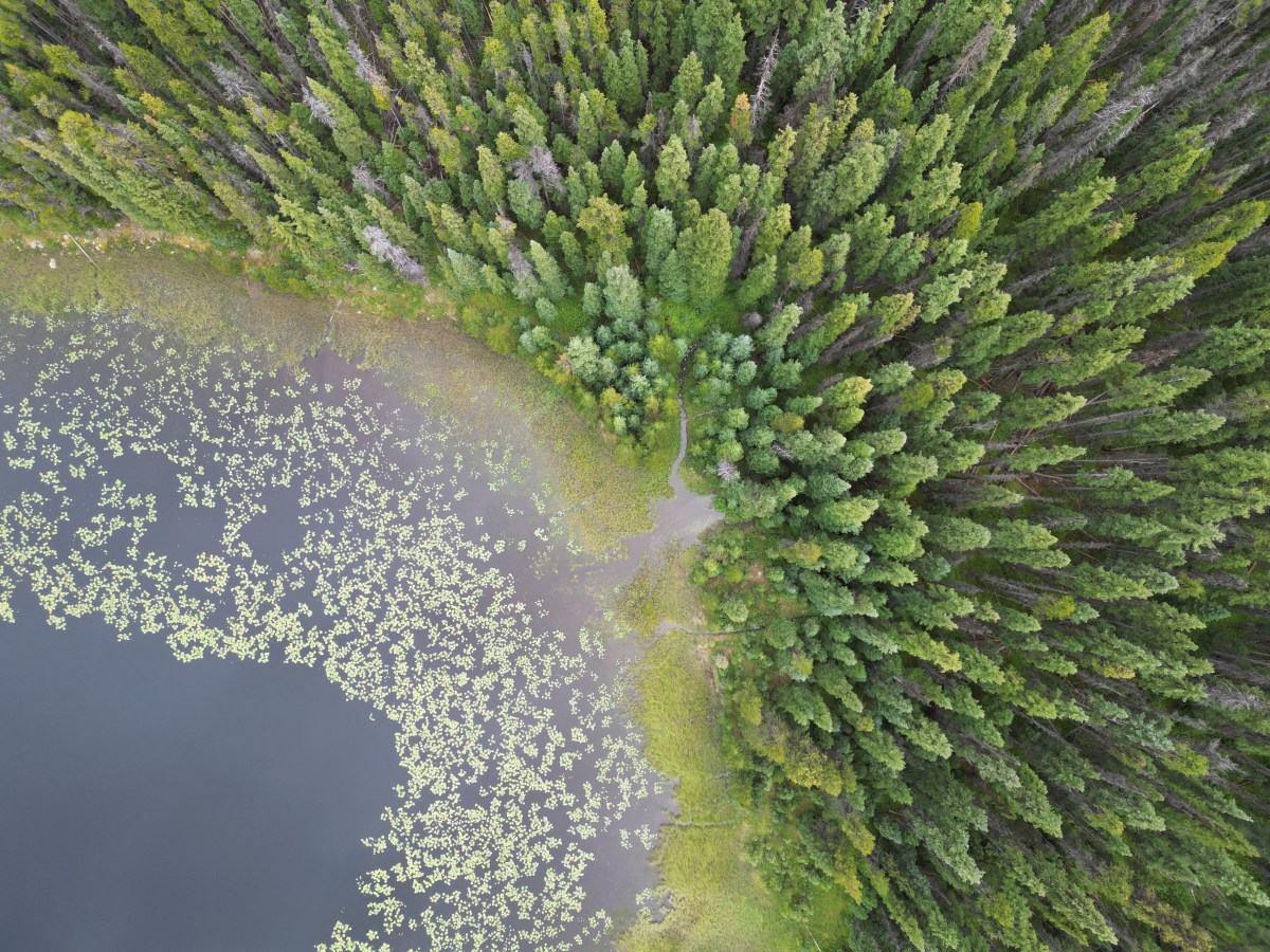 Wetland Ecosystem Services Protocol – BCWF Watershed Team