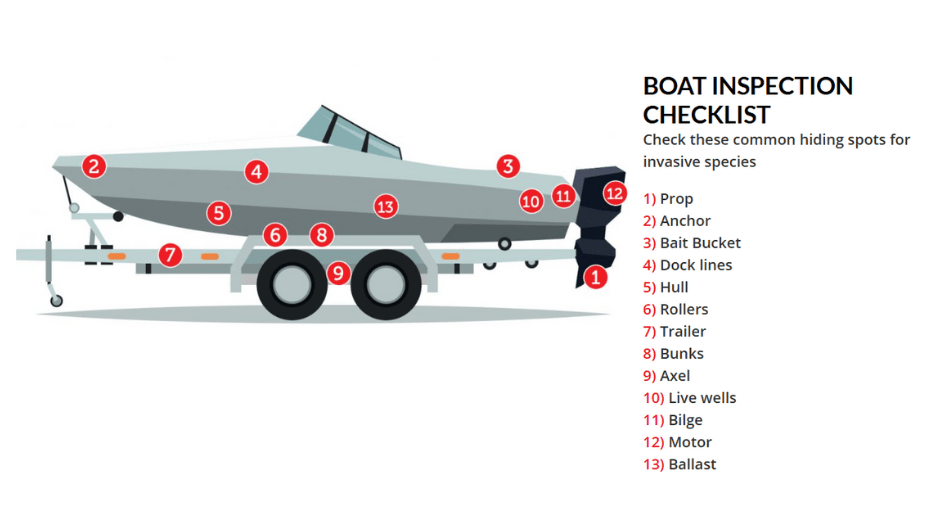 Invasive Mussels — An Immediate and Preventable Threat – BCWF Watershed ...
