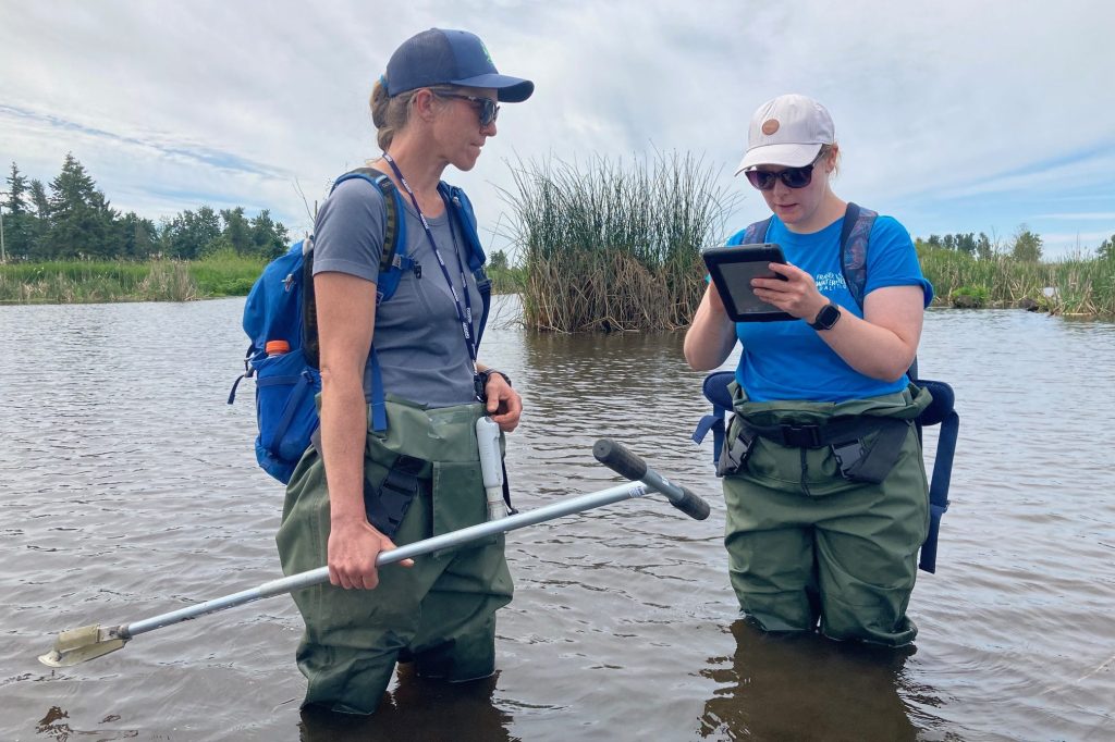 Wetland Ecosystem Services Protocol and Predictive Mapping – BCWF ...