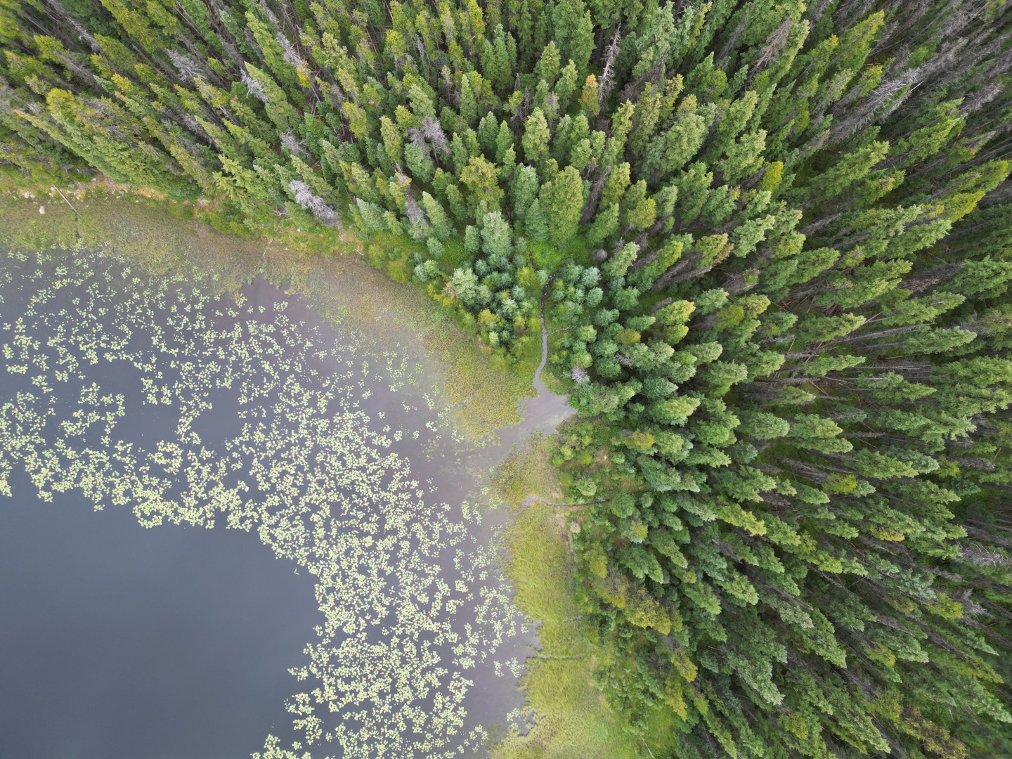 Wetland Ecosystem Services Protocol – BCWF Watershed Team