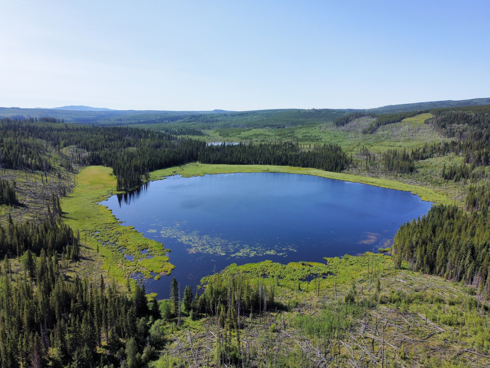 Get to Know the 5 Freshwater Wetland Classifications! – BCWF Watershed Team